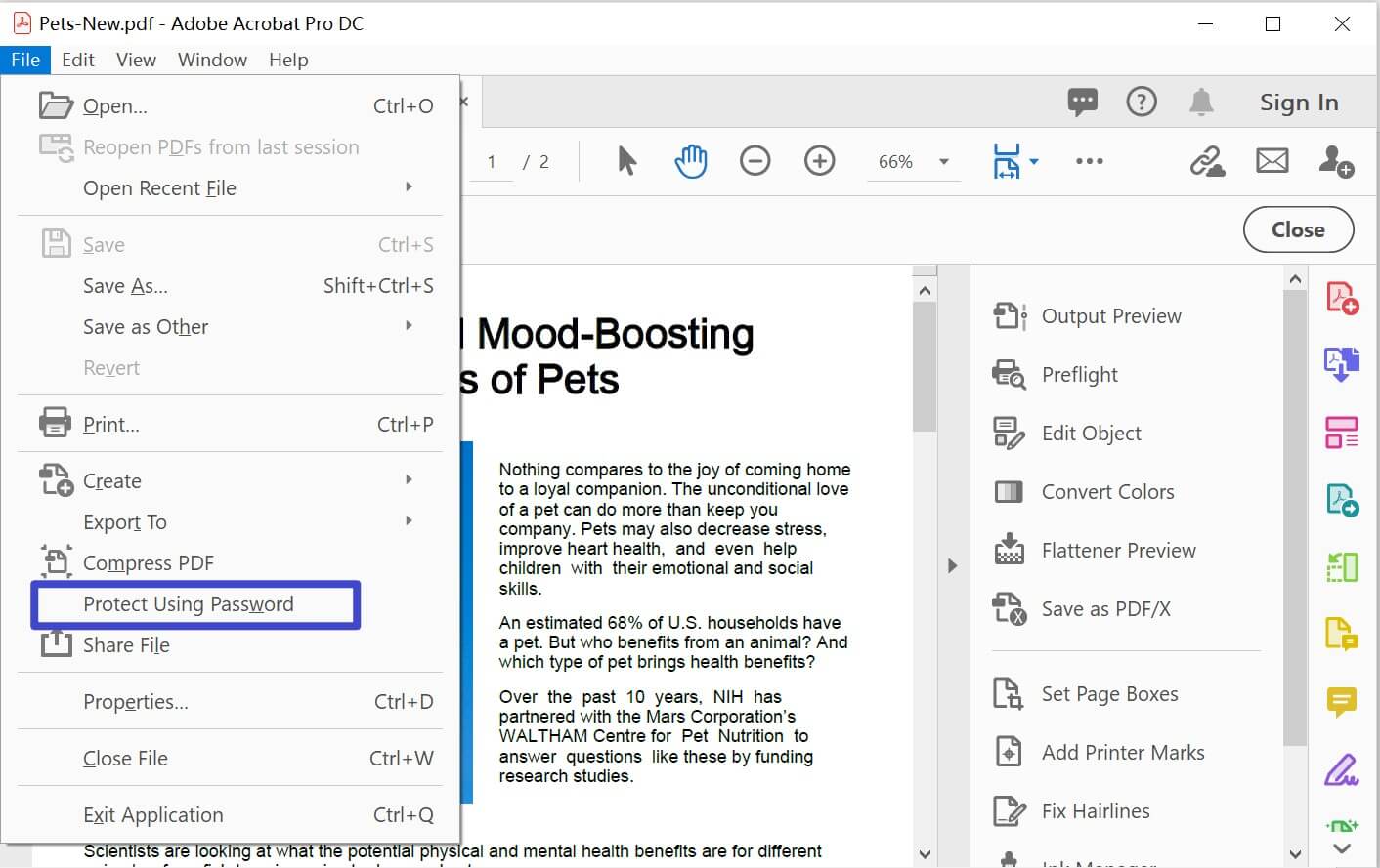How To Make PDF Read Only