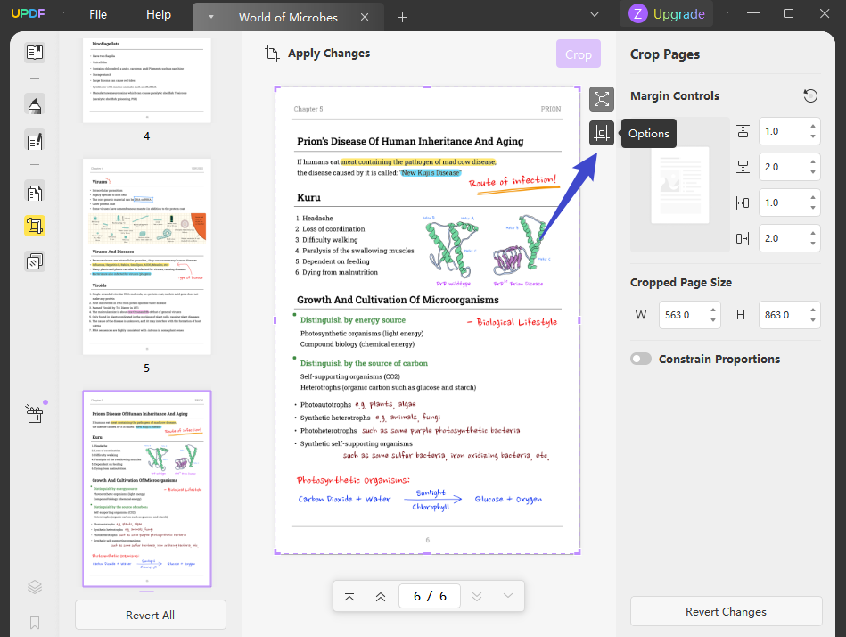 How to Crop Pages to PDF on Windows | User Guide