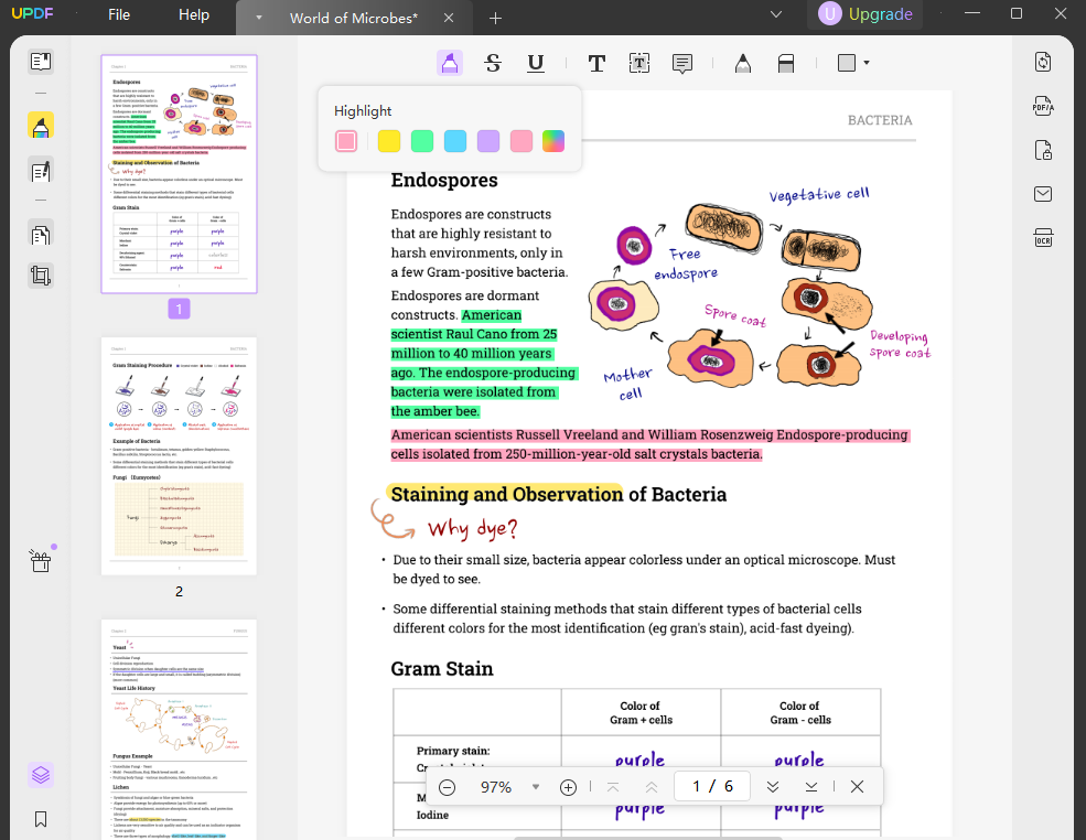 Comment surligner des PDF sans effort | UPDF
