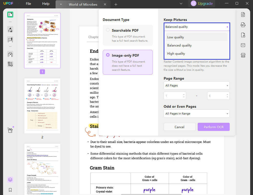 OCR PDFs with UPDF for Windows | User Guide