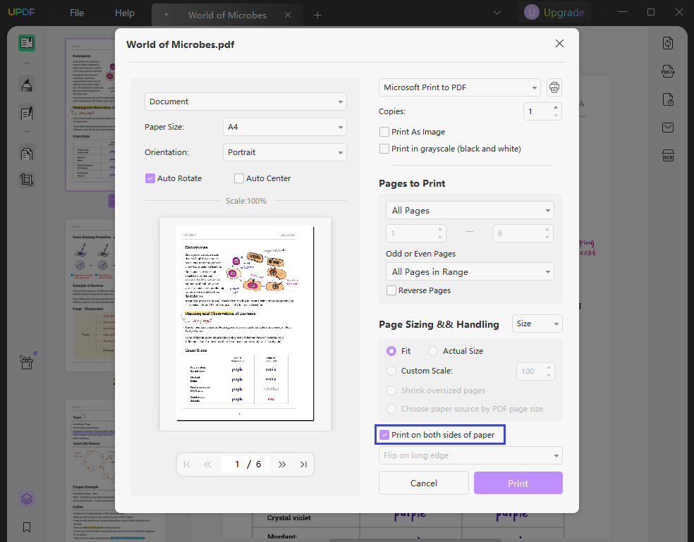 How To Print Double Sided PDF Quickly UPDF