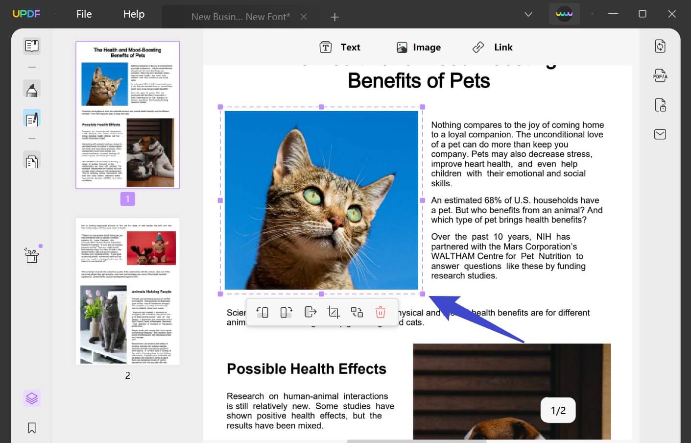 Resize Image in PDF Like a Pro: Best Tool Revealed - UPDF