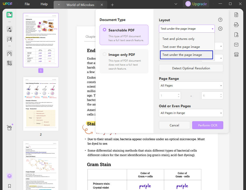 How to Convert PDF to Text for Free Online and Offline
