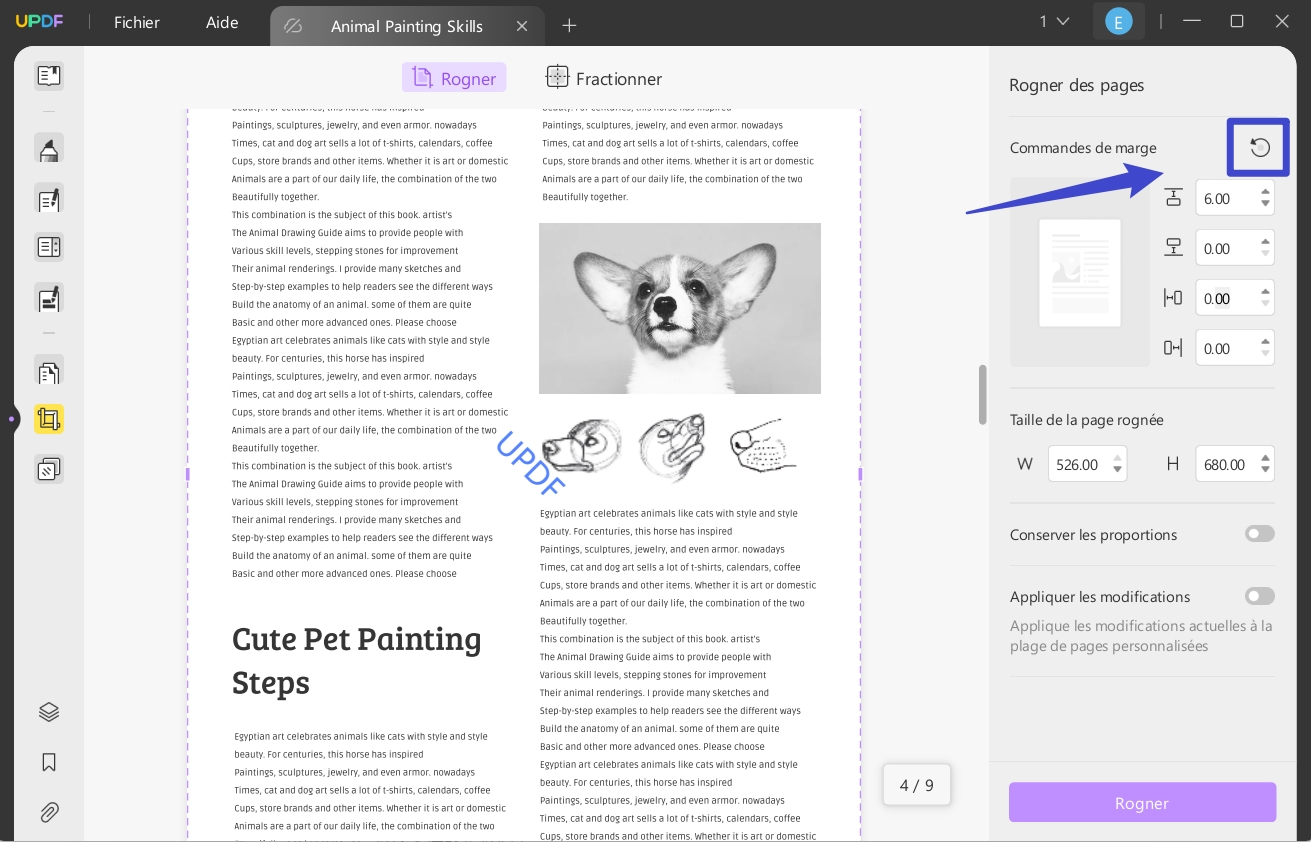 Comment rogner des pages au format PDF sous Windows | UPDF