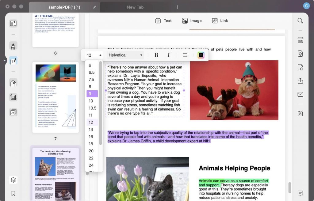 How To Change Font Size In PDF? A Step-by-step Guide | UPDF