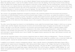 [Must Read] Grad School Essay Examples in 5 Easy Ways | UPDF