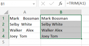 Steps Guide To Remove Space Before Text in Excel | UPDF