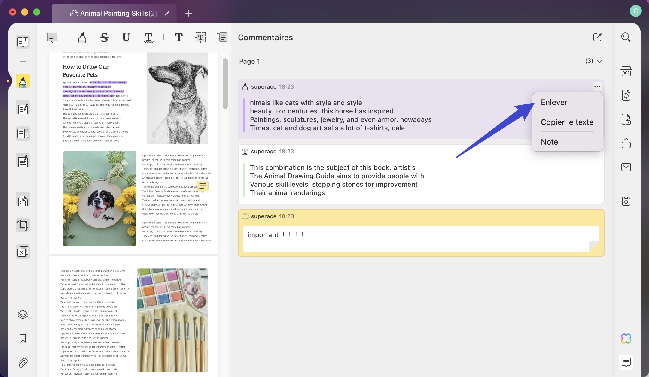 Comment supprimer le surlignage d'un PDF | UPDF