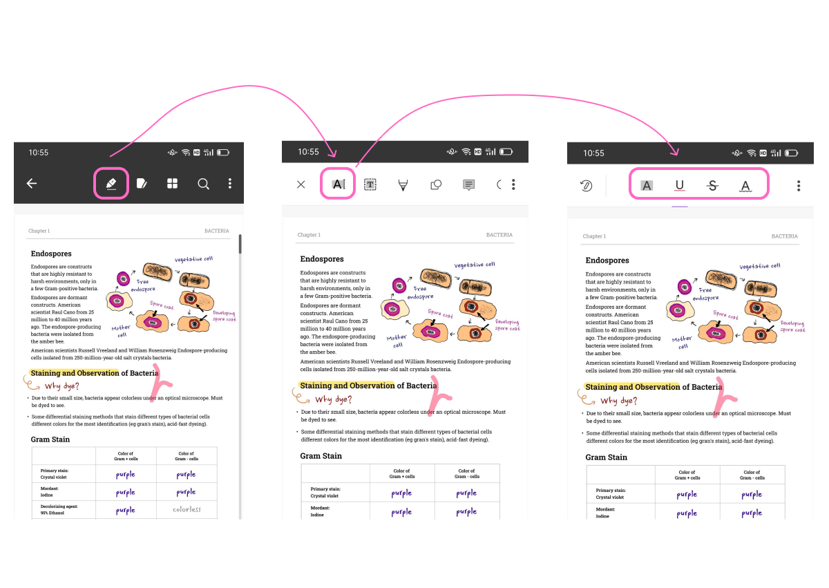 "Learn How to Strikethrough in PDF Minutes | UPDF"