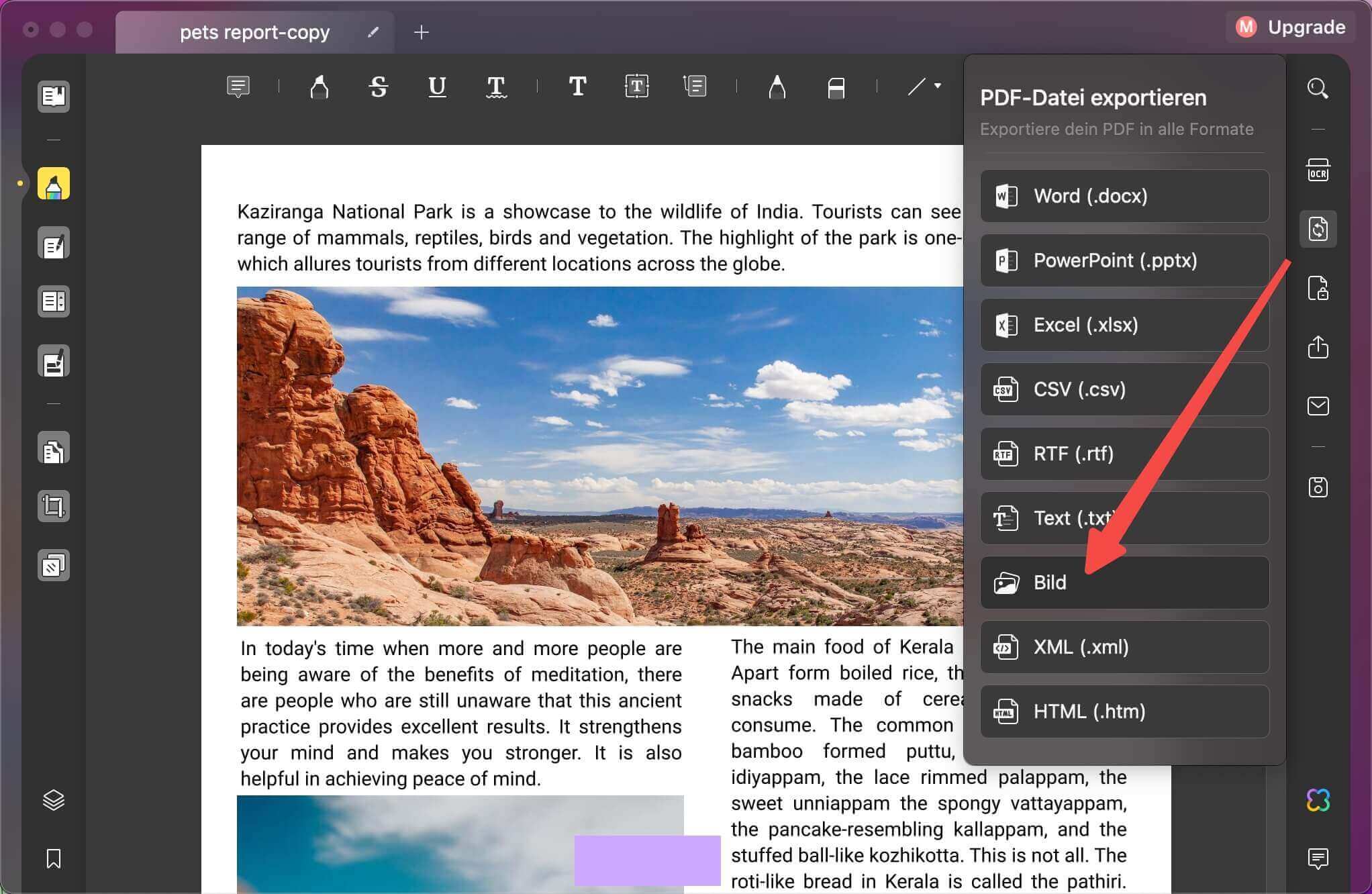 PDF in Bild umwandeln - Schritt für Schritt Tutorials | UPDF