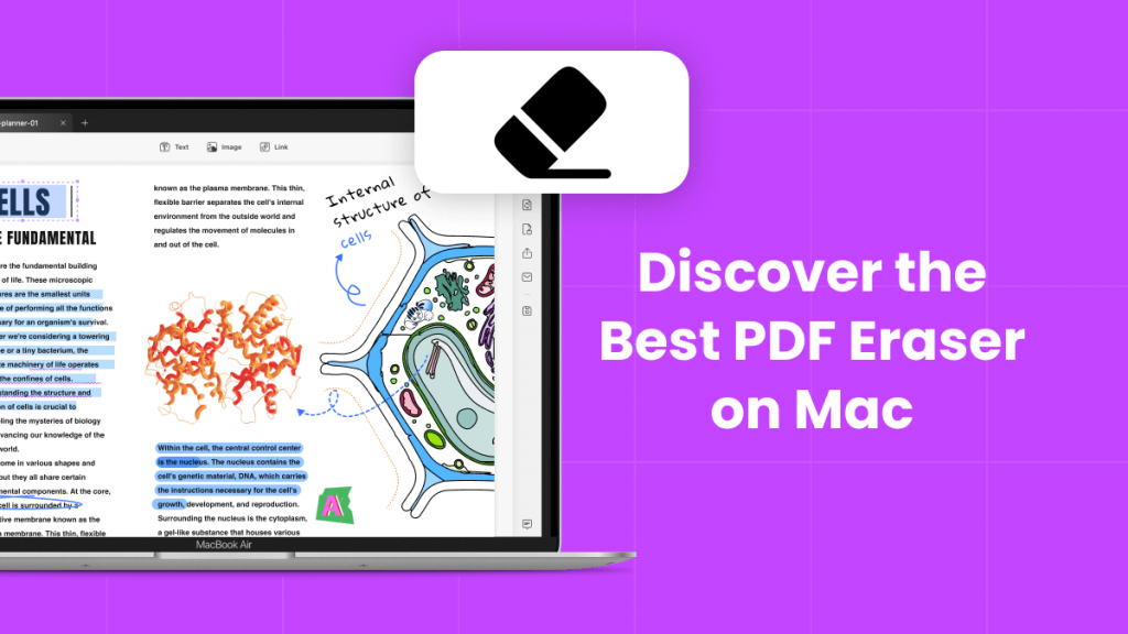 5 Best PDF Eraser on Mac: Use Without Damaging Layout - UPDF