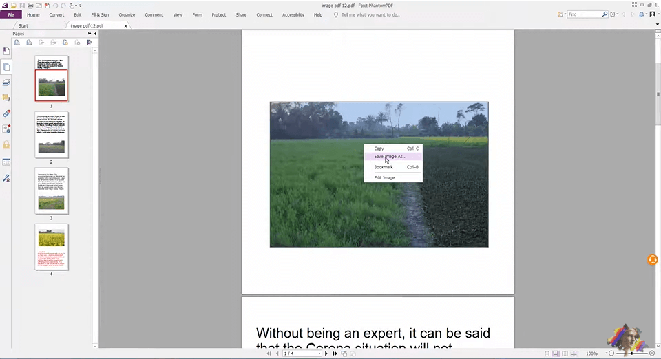 Top 5 PDF Image Extractors Available in the Market | UPDF