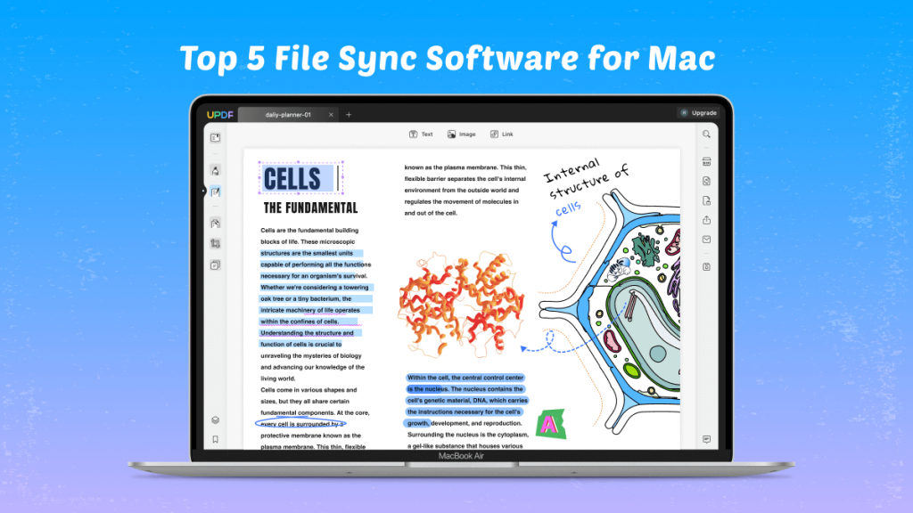 5 Reliable and Secure File Sync Software for Mac | UPDF