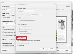 How to Print PDF As Image? (3 Ways) | UPDF