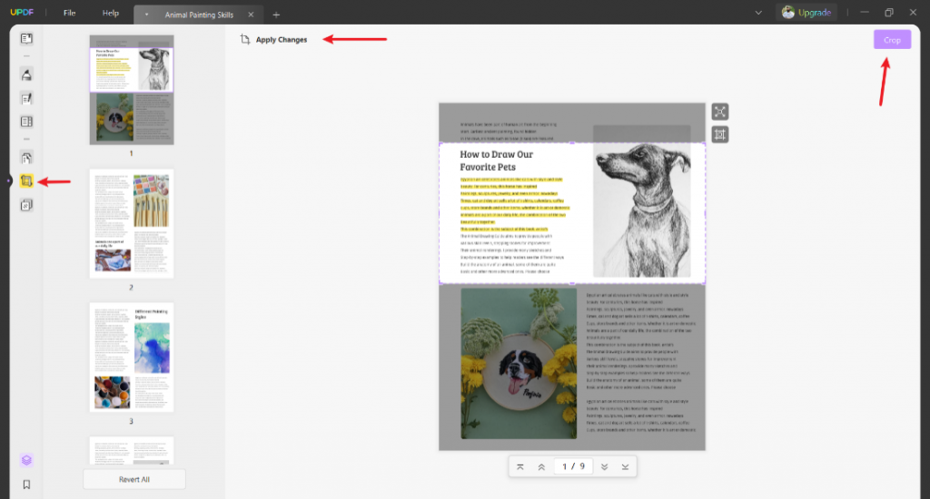 How to Crop PDF in Adobe? (Detailed Guide)