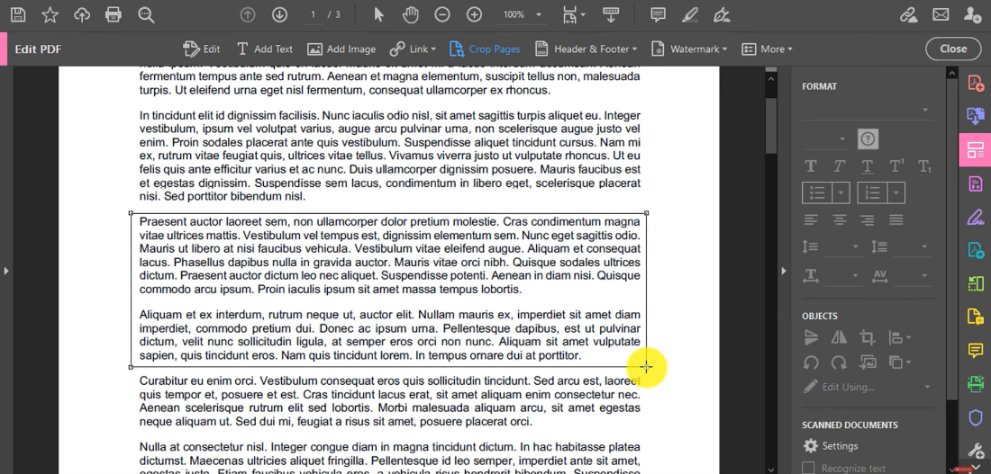 How to Crop PDF in Adobe? (Detailed Guide)