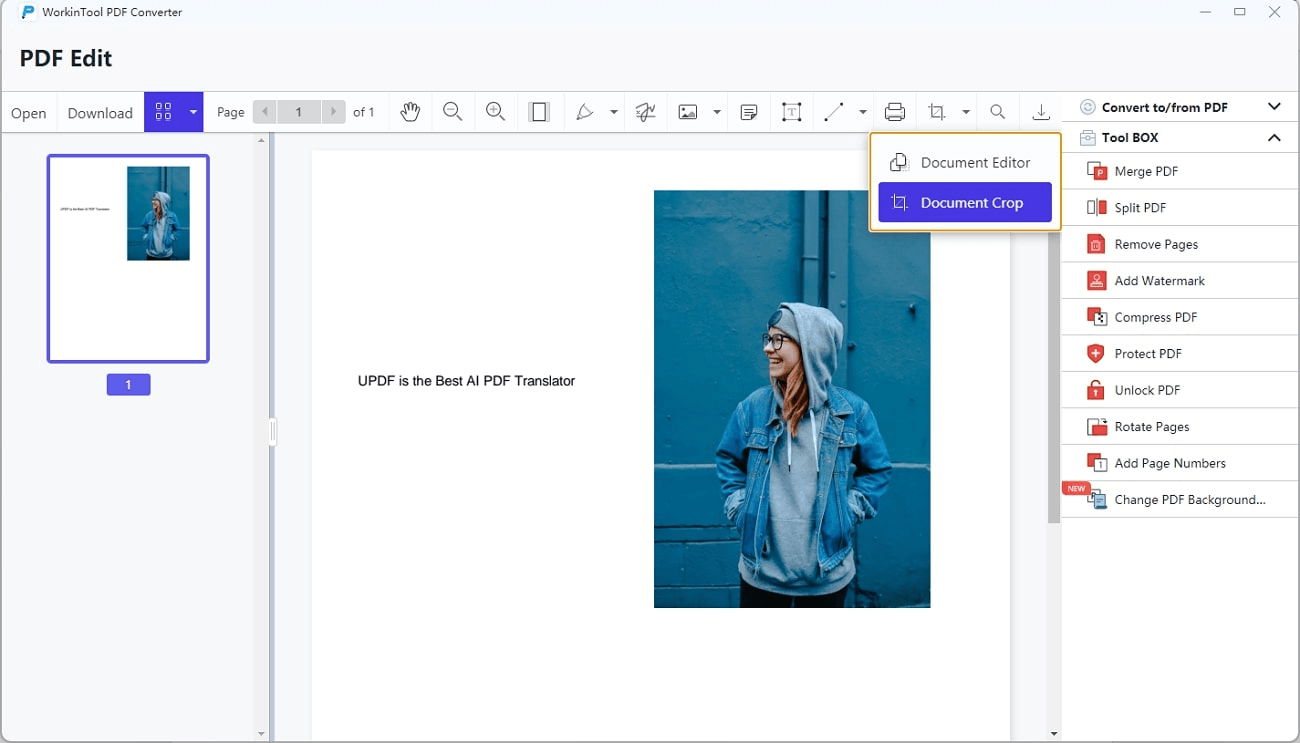Discover Top 5 PDF Croppers for Windows | UPDF