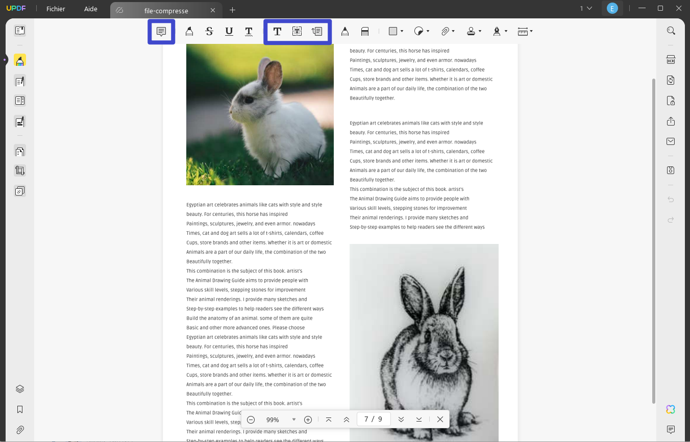 Modifier du texte dans le PDF: Conseils d'experts | UPDF