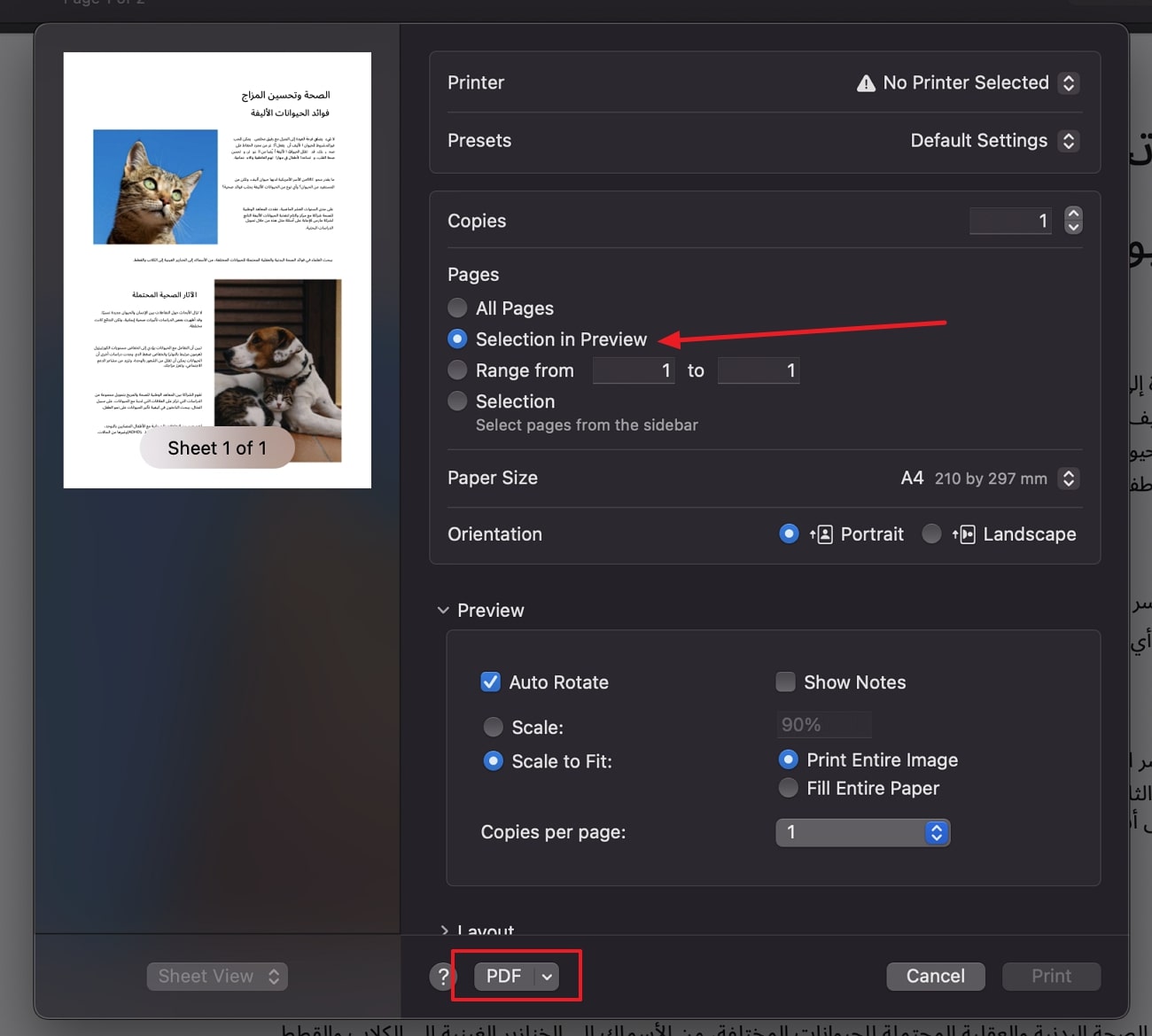 How to Send One Page of a PDF? Easy Guide - UPDF