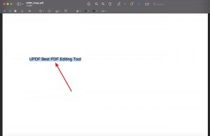 How to Spell Check PDF? 5 Quick and Easy Guides - UPDF