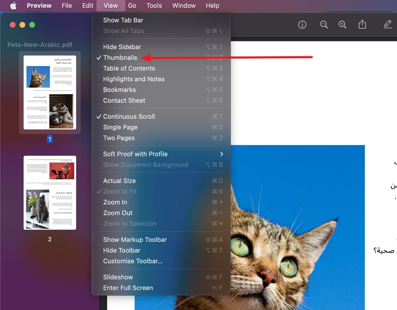 How to Send One Page of a PDF? Easy Guide - UPDF