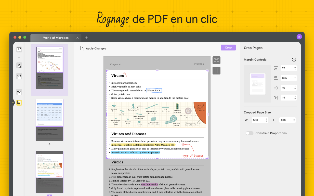 2 méthodes simples pour rogner un PDF | UPDF