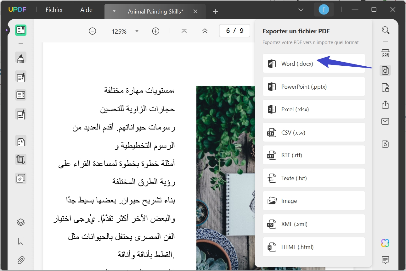Convertir un PDF arabe en Word | UPDF