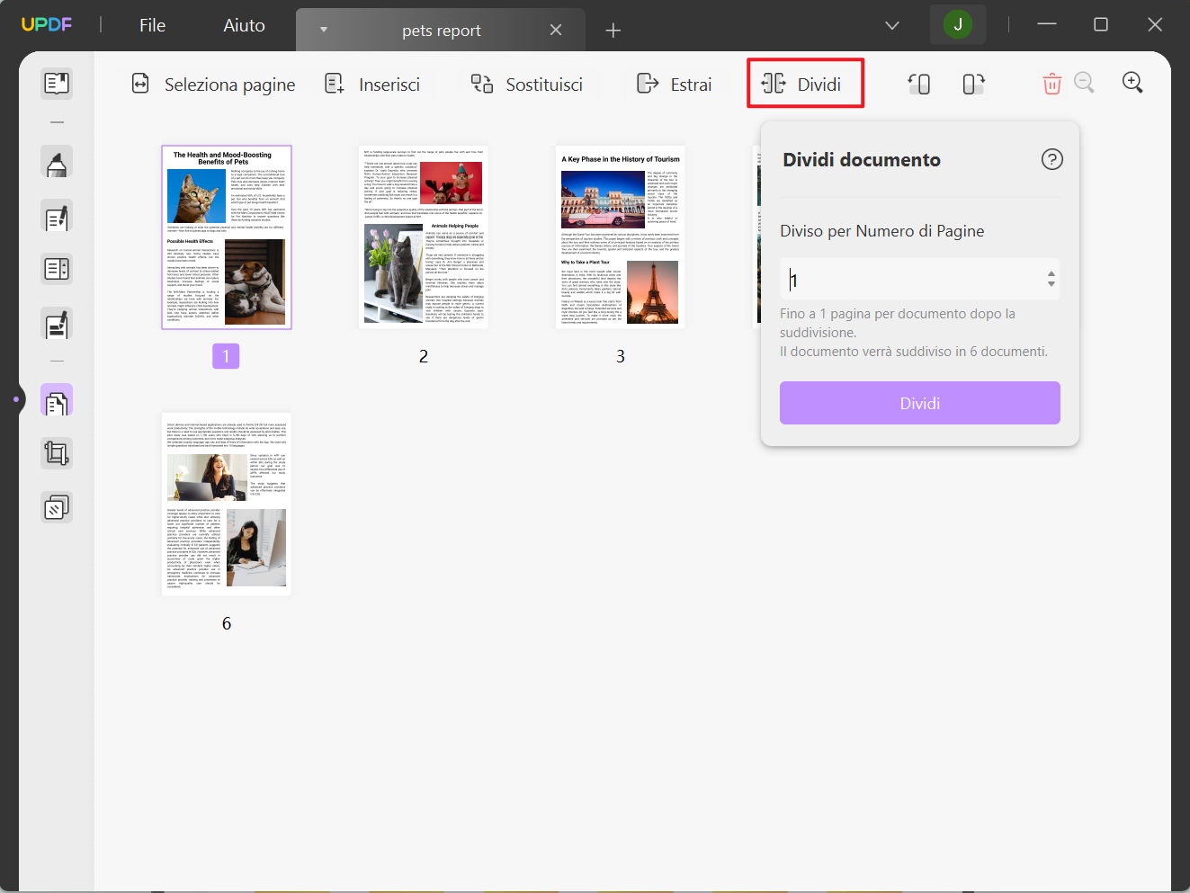Dividere PDF online e offline | UPDF