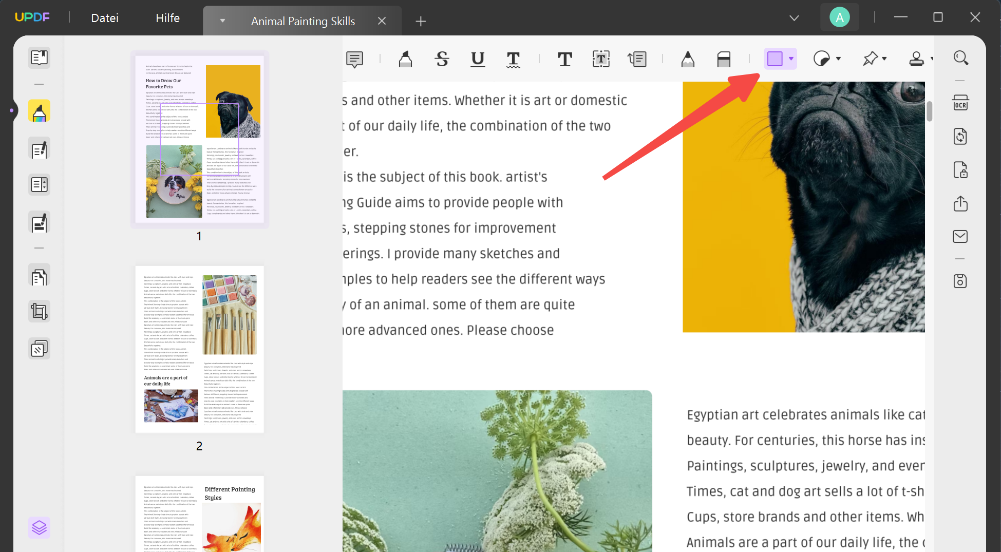 Wie Sie Text in PDF verstecken: Professionelle Methoden | UPDF
