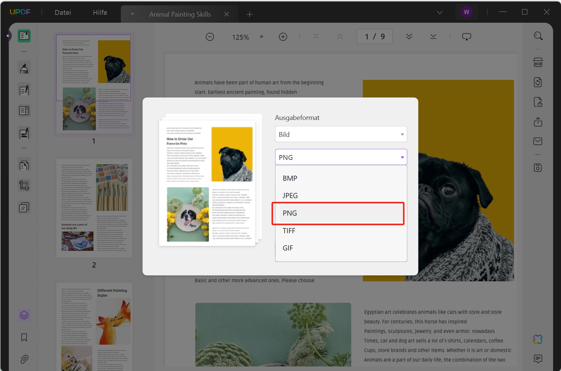 Wie Sie mit einfachen Techniken PDF in Paint öffnen | UPDF