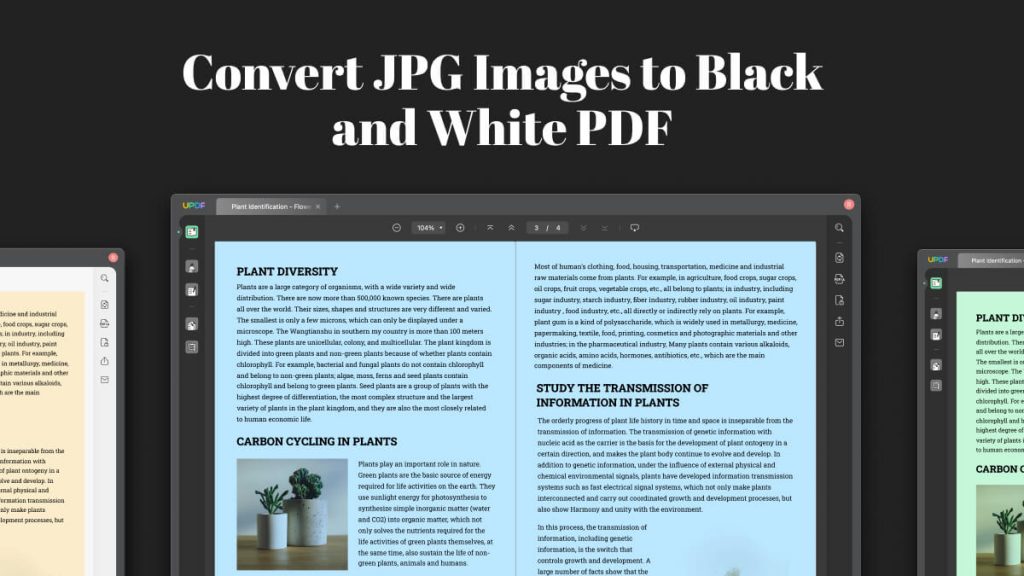 Convert JPG/JPEG/PNG Images to Black and White PDF | UPDF