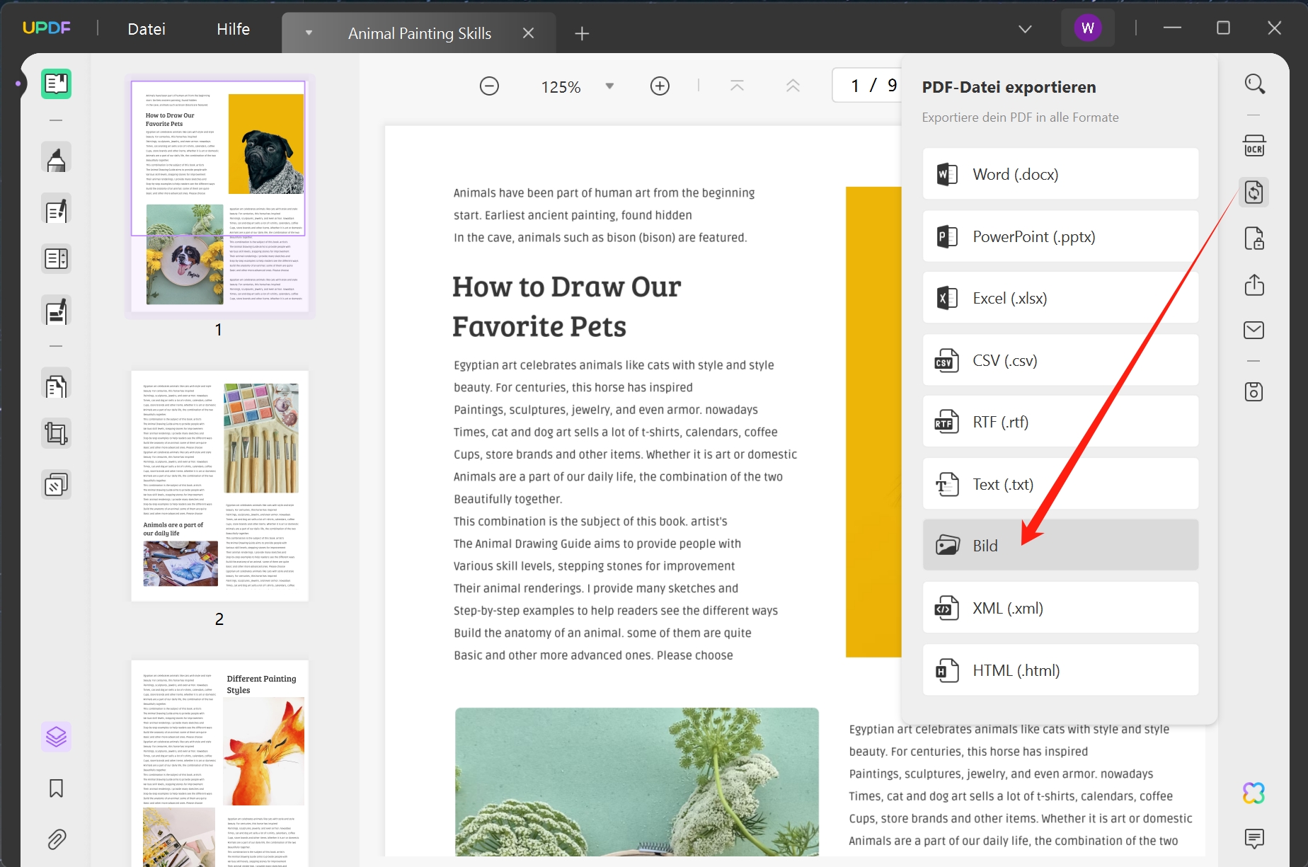 Wie Sie mit einfachen Techniken PDF in Paint öffnen | UPDF