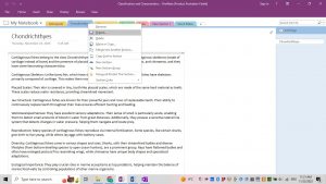 How to Export OneNote to PDF? (The Detailed Guide)|UPDF