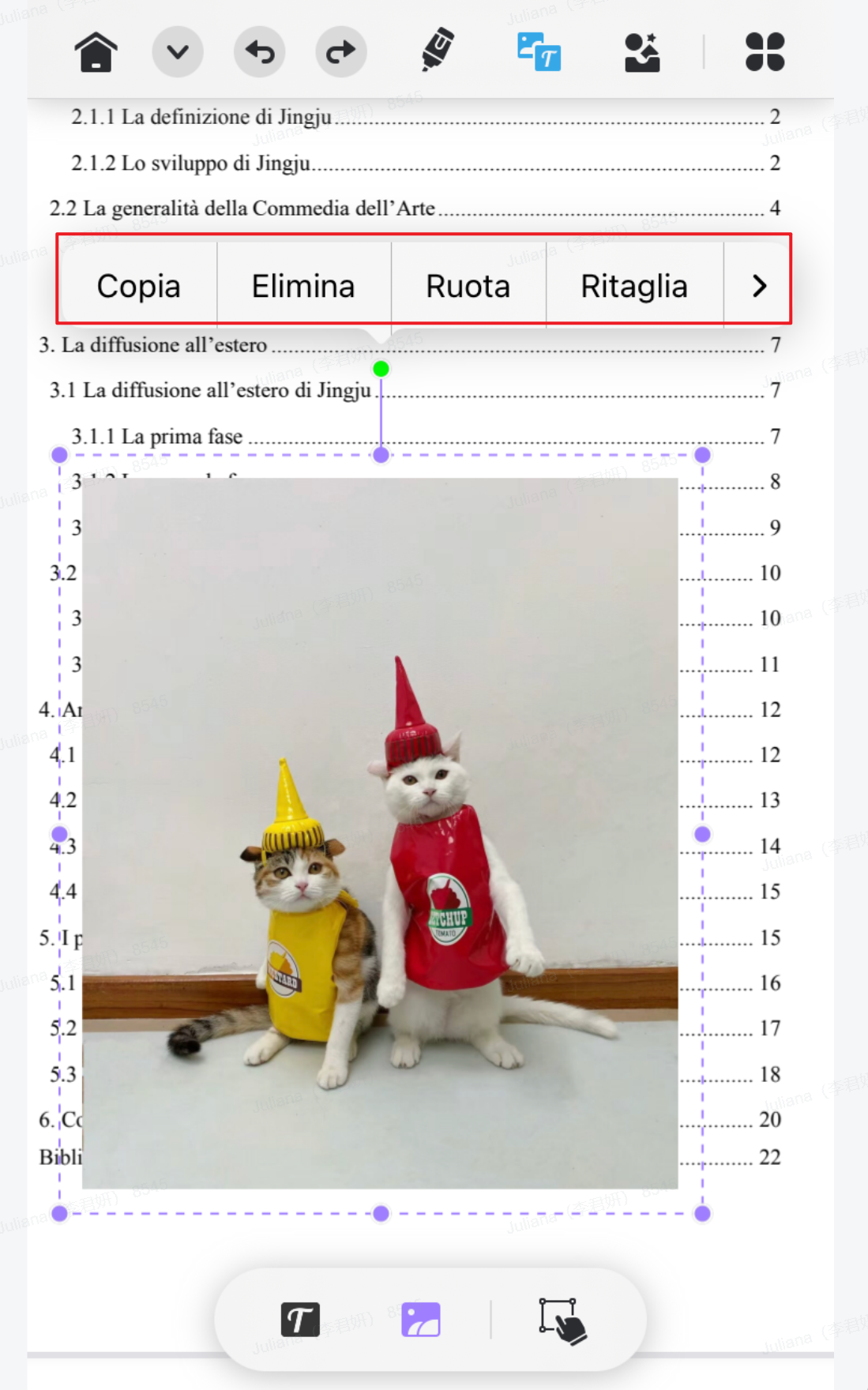 Inserire immagine in PDF online e offline | UPDF
