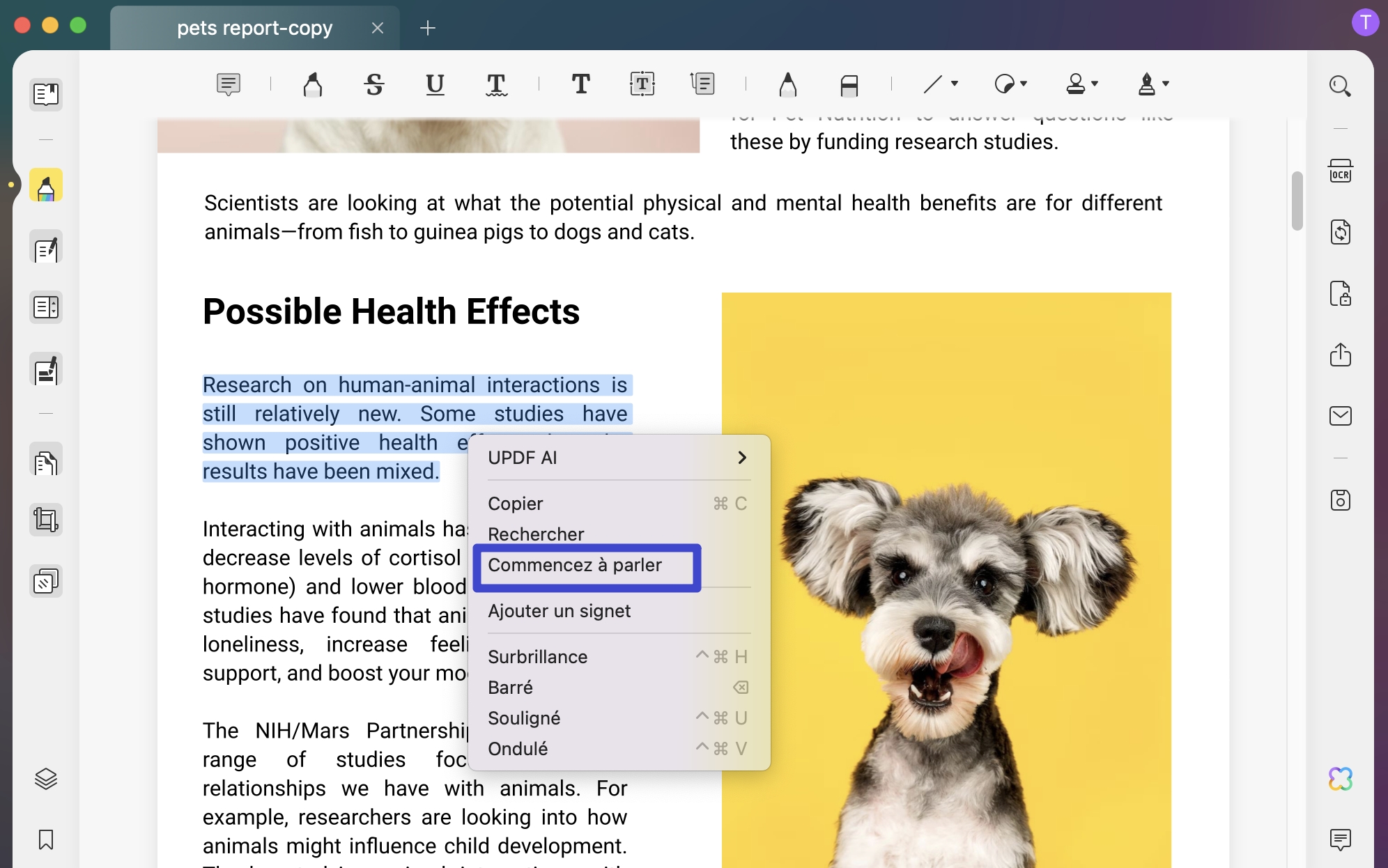 Comment faire le texte à la parole avec Google Docs | UPDF