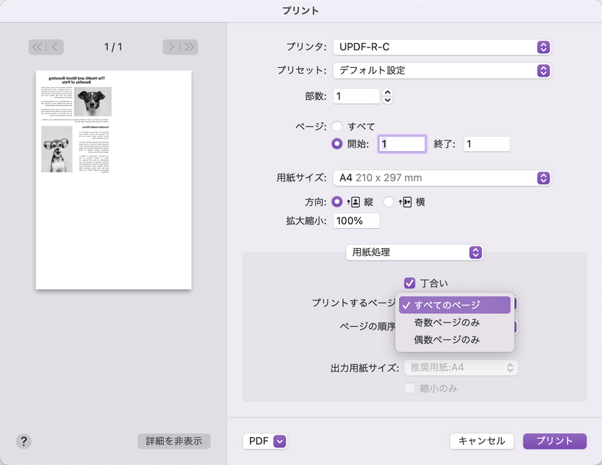 macでpdfを印刷可能？ここでは詳細な方法を紹介！ | UPDF