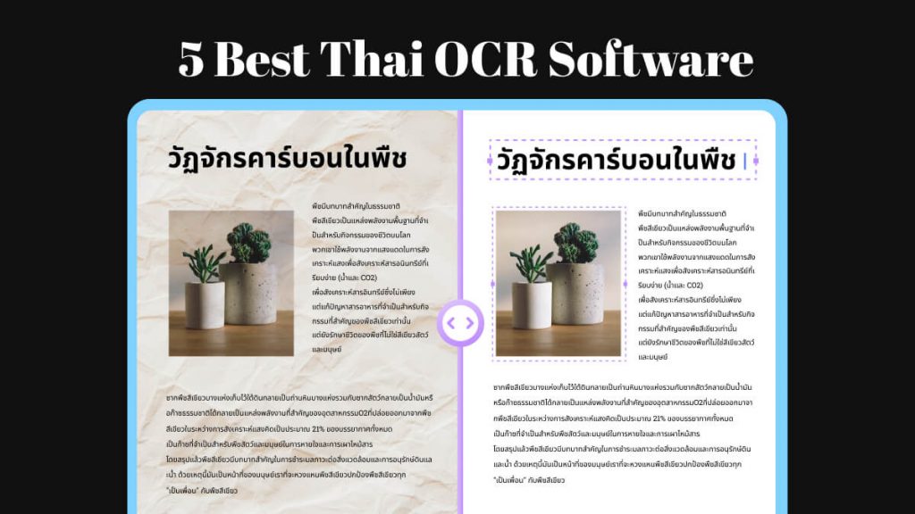 5 Best Thai OCR Software (With Detailed Comparison)|UPDF