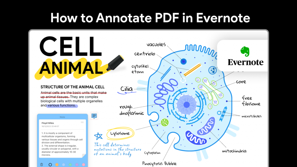 Enhance Your Docs: Evernote PDF Annotation Guide | UPDF