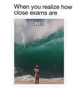 16 Funny Finals Memes to Share Your Feeling | UPDF