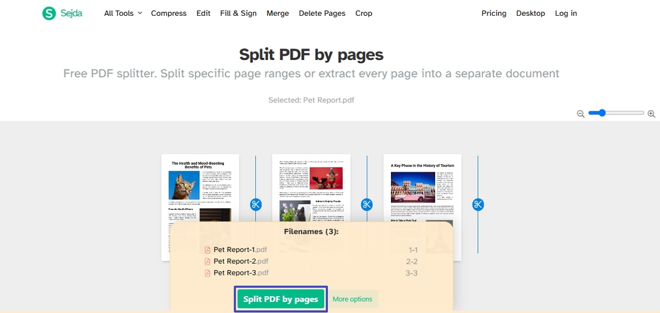 Best Way to Organize Documents: Sejda Split PDF - UPDF
