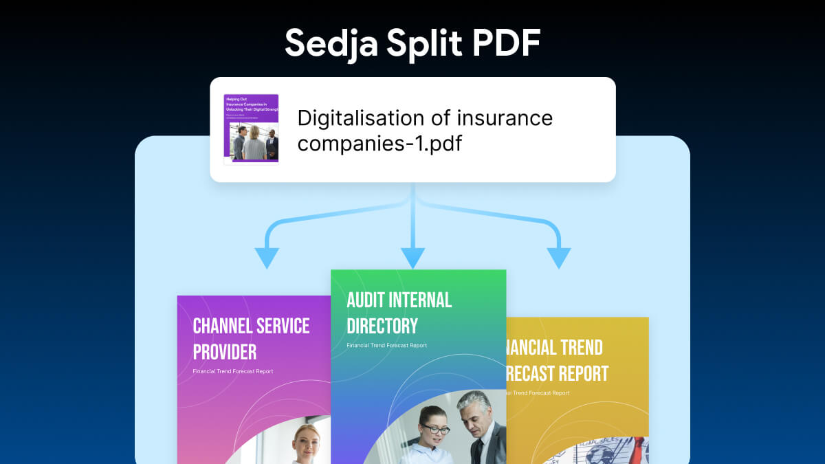 Best Way to Organize Documents: Sejda Split PDF - UPDF