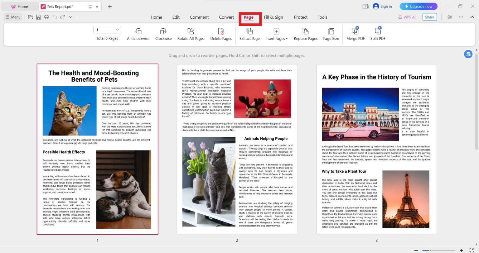 How to Use WPS Office to Edit PDF: A Complete Guide | UPDF