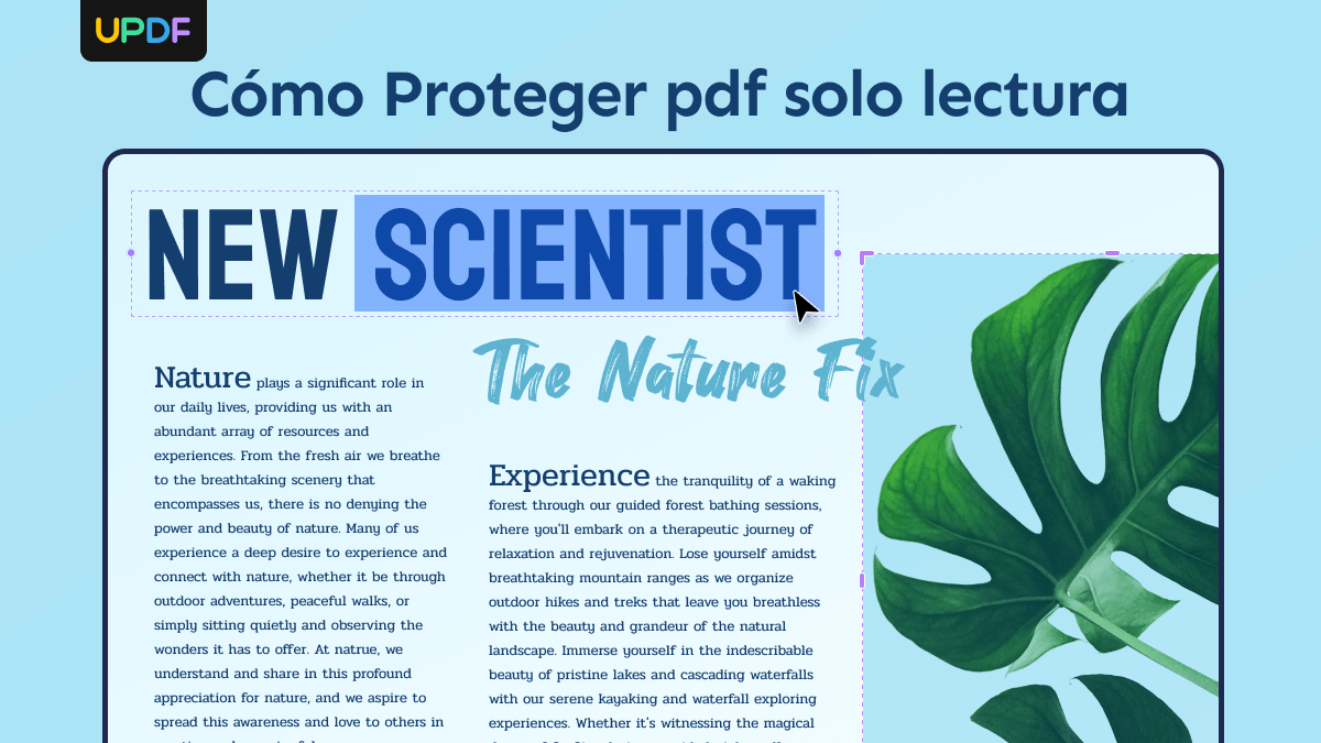 Aprende a Proteger PDF sólo lectura en 3 pasos rápidos | UPDF