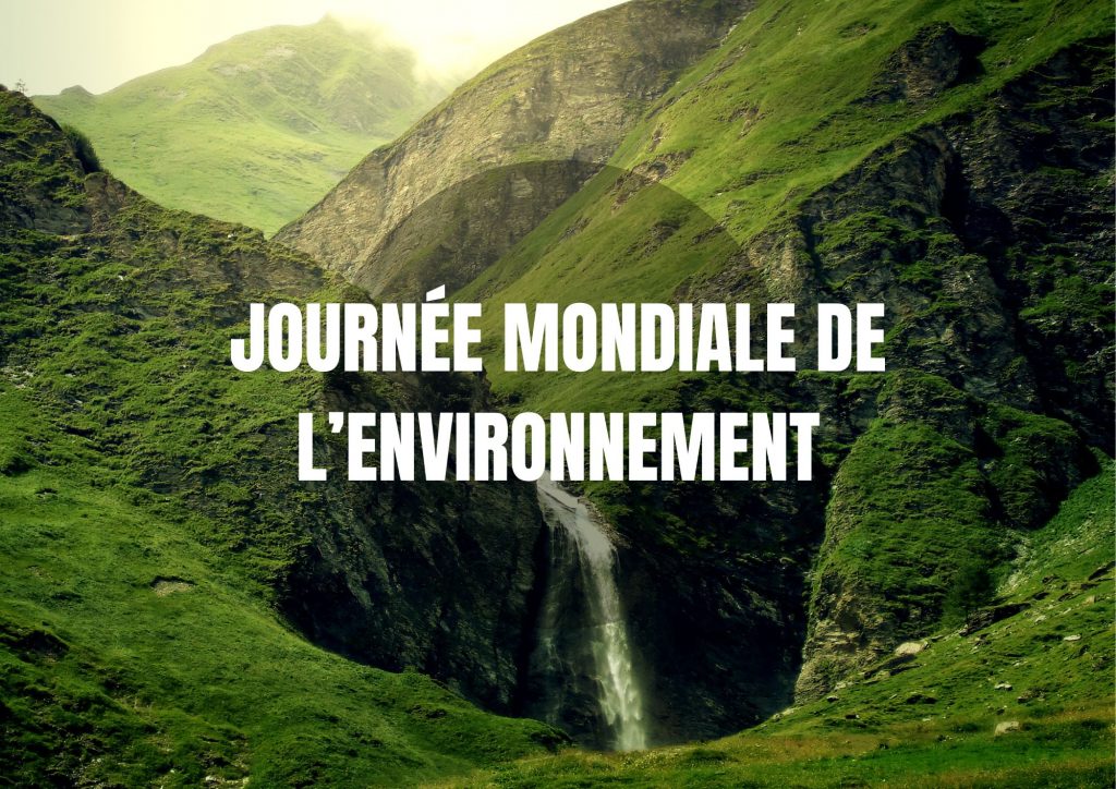 Journée mondiale de l'environnement 2026 | UPDF