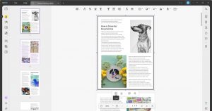 How to Add Border to PDF? With/Without Adobe | UPDF