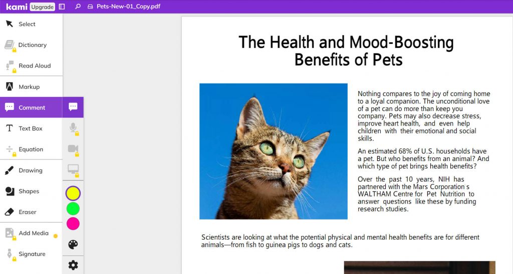 Can Kami Edit PDFs, and Is There a Better Option? | UPDF