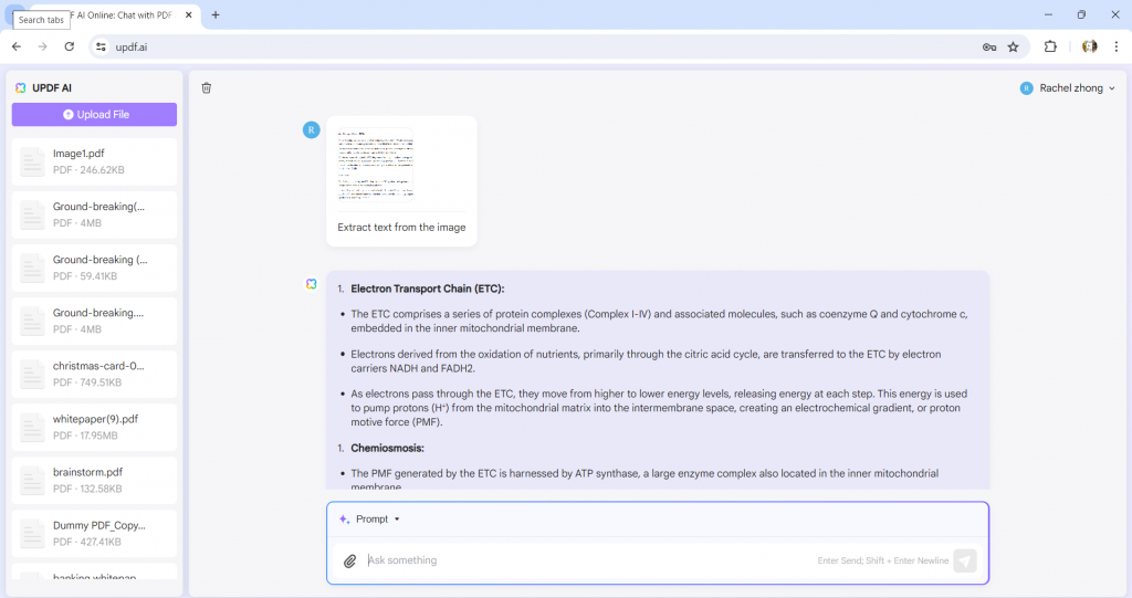 Your Ultimate Guide on How to Extract Text from Images | UPDF