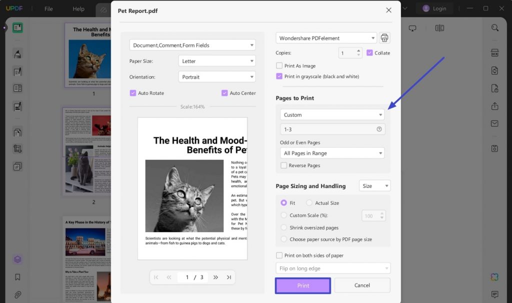 How to Print a Portion of PDF with Easy Solutions |UPDF