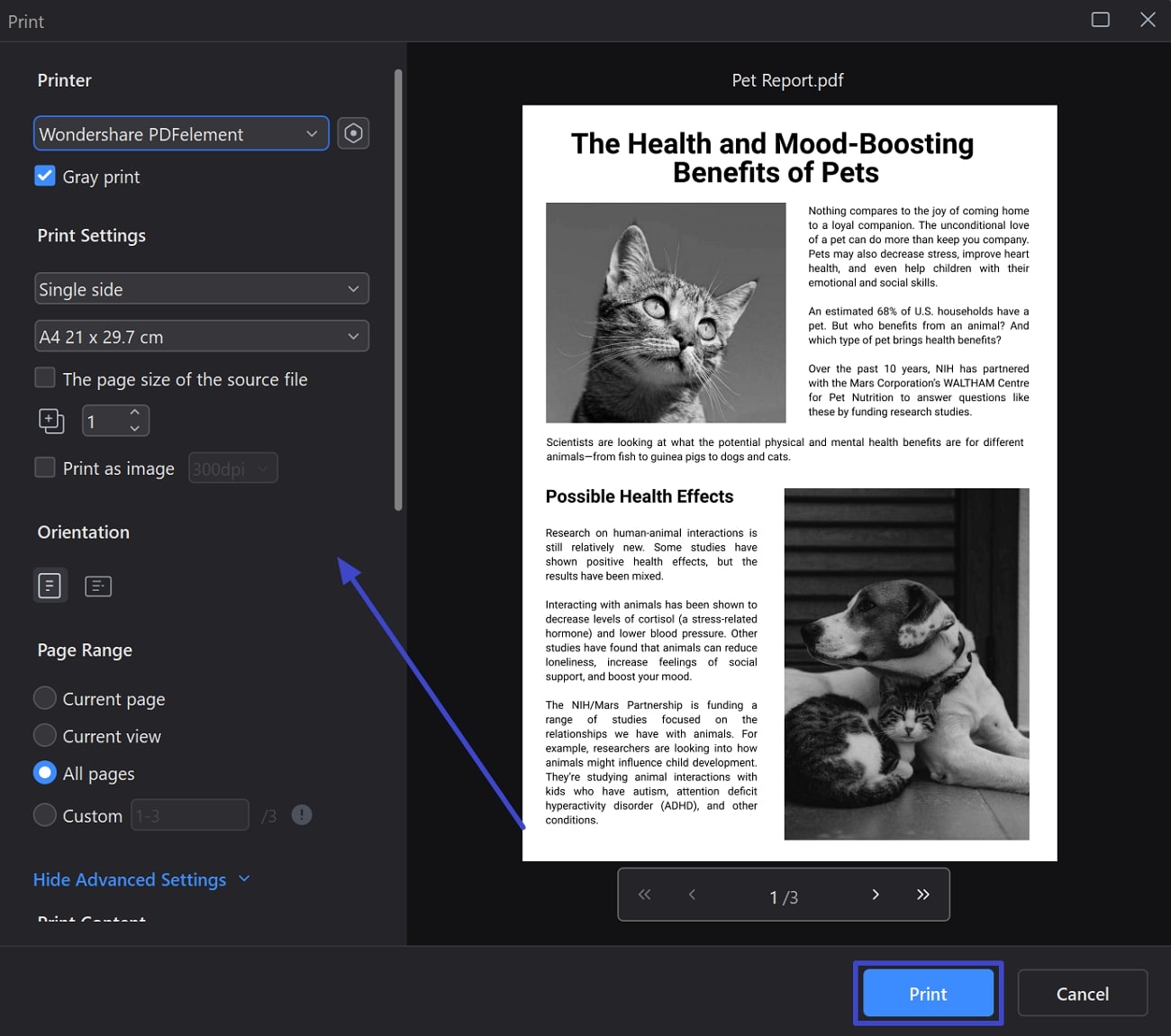 How to Print a Portion of PDF with Easy Solutions |UPDF