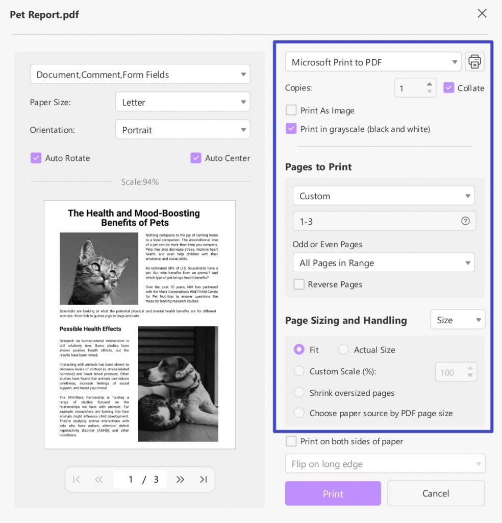 How to Execute PDF Page Setup with Unique Software – UPDF